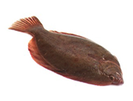 Lesson 03: Seafood – EWE – Easy World Of English